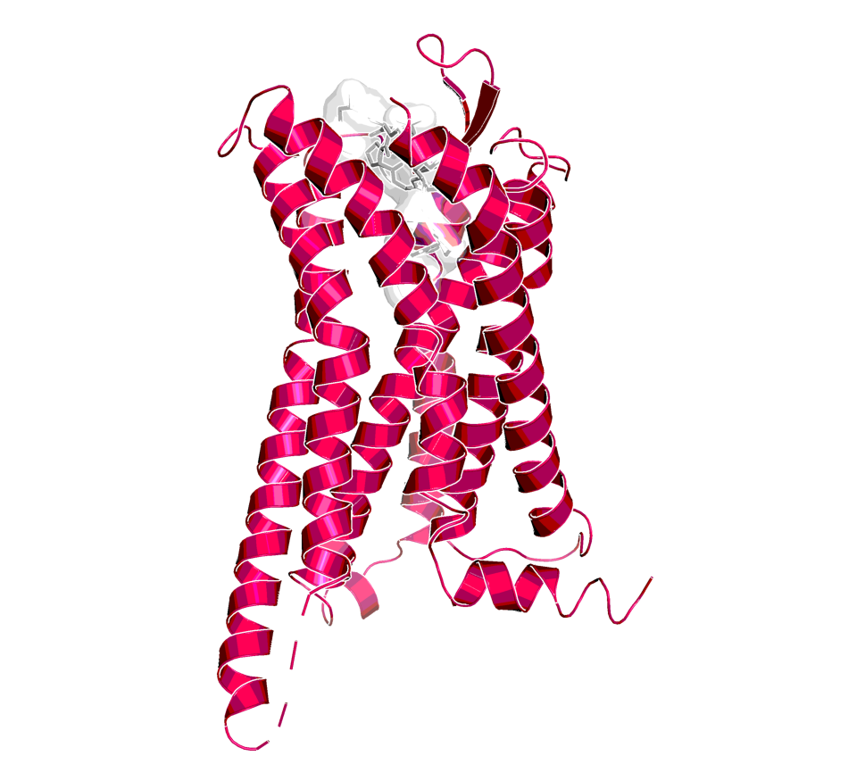 B1R Antagonist | BI113823 | opnMe | Boehringer Ingelheim