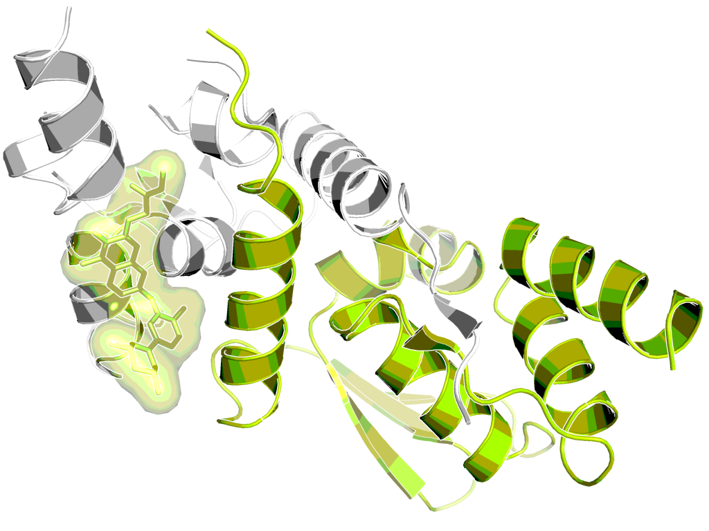 BCL6 inhibitor | BI-3812 | opnMe | Boehringer Ingelheim