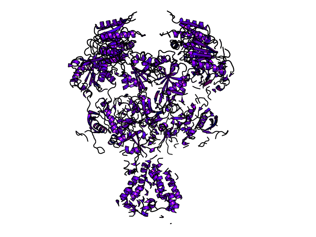 Nmda Receptor Antagonist Biii 277cl