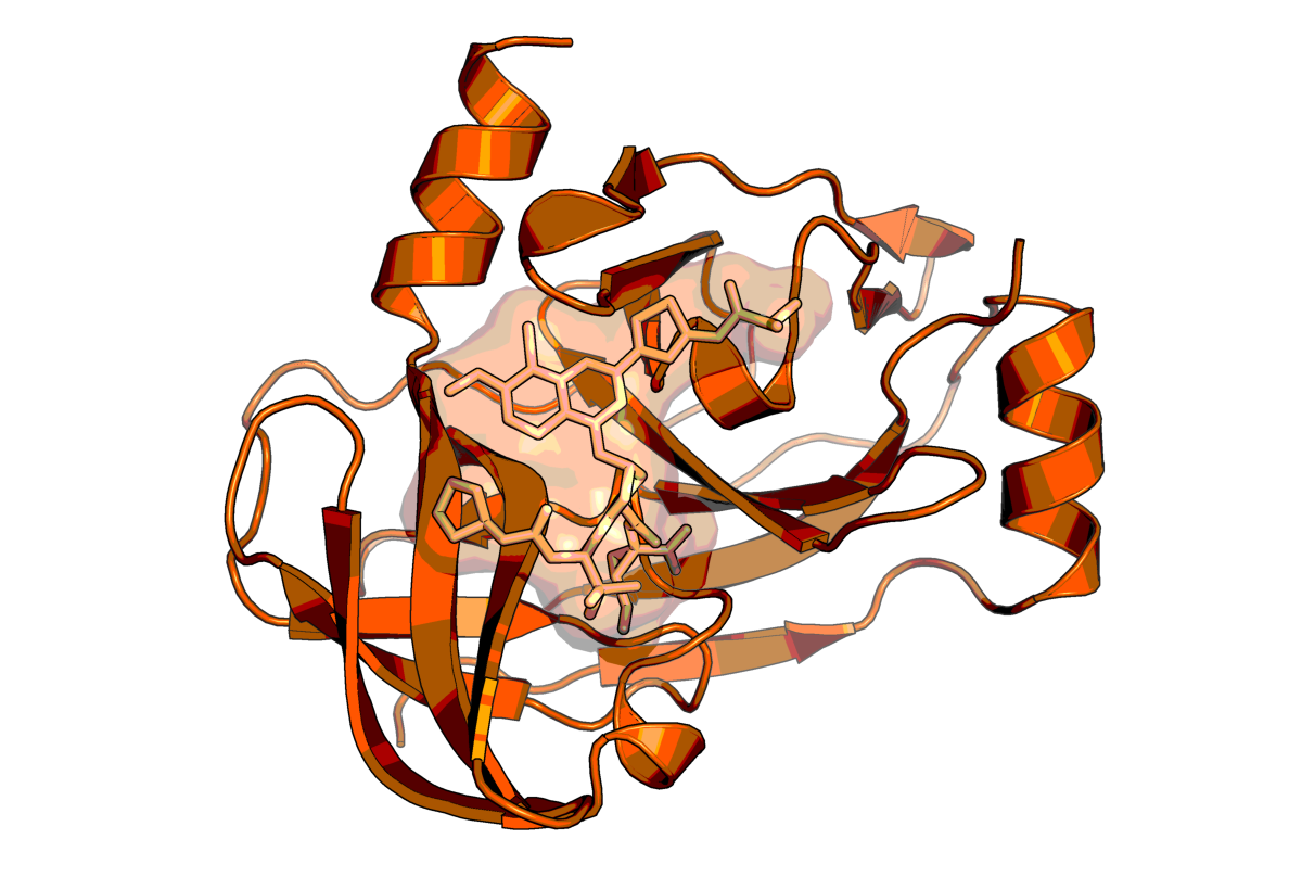 Hepatitis C virus (HCV) NS3 protease inhibitor | BI-1230 | opnMe ...